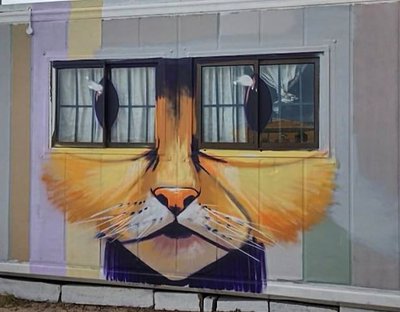 PICS: Local artist brings life and colour to streets