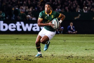 Springbok scrum-half speedster Williams gets chance to impress