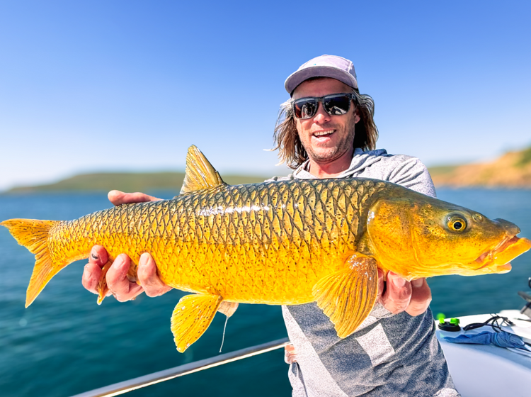 KZN summer fishing: Guaranteed weekend bites