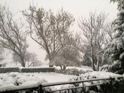PICTURES: Heavy snow hits Ceres in the Western Cape