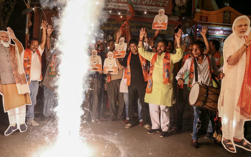 Spotted? Leopard-like animal seen at India's swearing-in ceremony