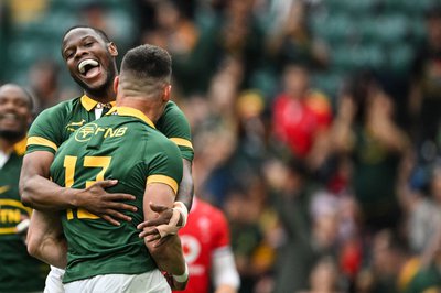 Pollard, Libbok give Erasmus Springbok fly-half selection headache