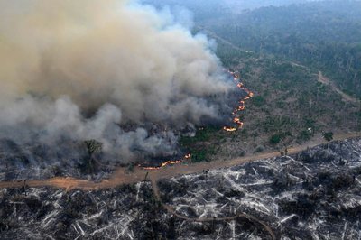 Deforestation in Brazil's Amazon drops to lowest level since 2019