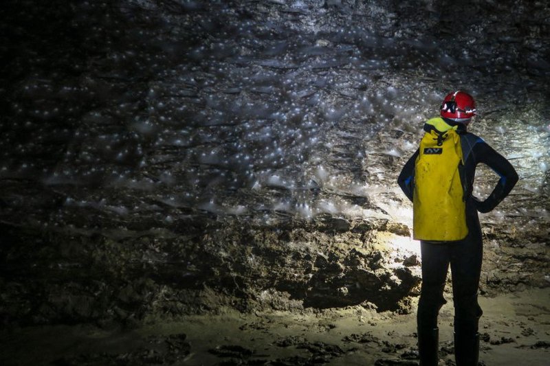 Giant spider web found in Greek-Albanian border cave: study