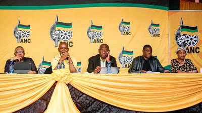 ANC strategy one of survival, not renewal - analyst
