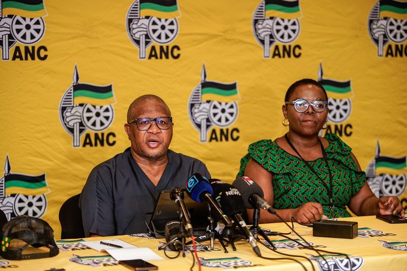 ANC willing to talk to DA over Expropriation Act - Mbalula
