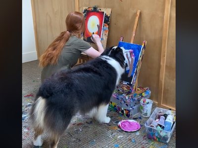 WATCH: 'Secret the Dog' is gone but not forgotten