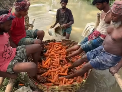 Men from an Indian village wash carrots with their feet