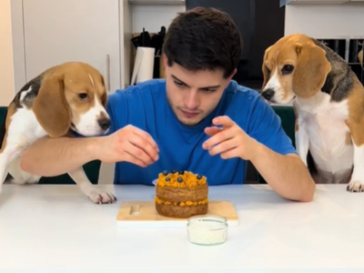 Cooking with your dogs will always end badly
