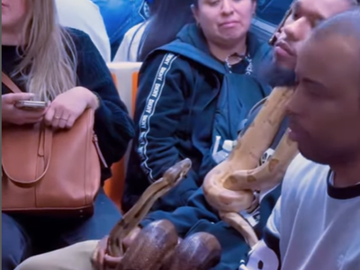 Commuter moves around NYC Subway with his snakes