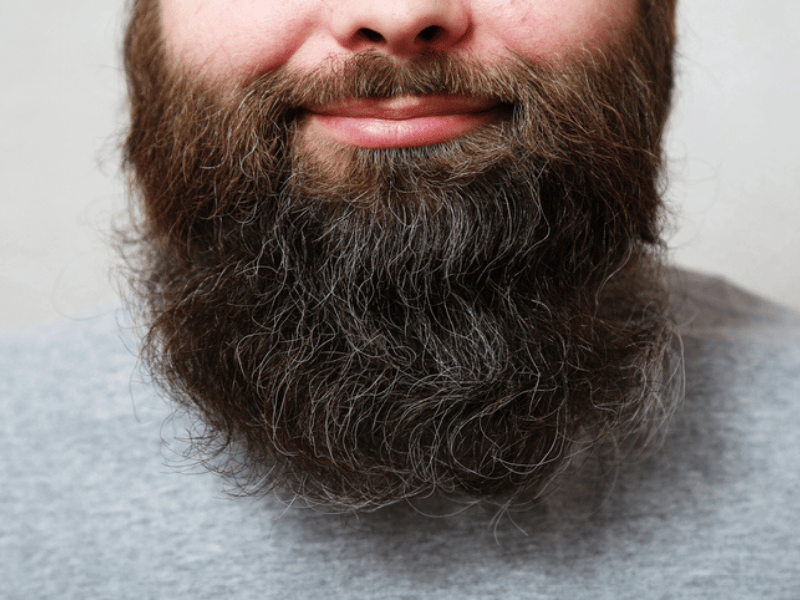 Movember thoughts: Do beards house more bacteria than your pet's fur?