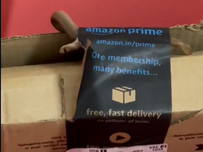 Couple find a cobra inside their Amazon delivery box