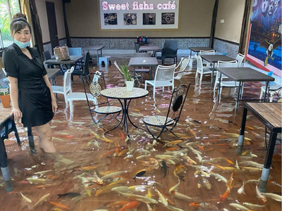 Fancy having a coffee while Koi fish swim around your feet