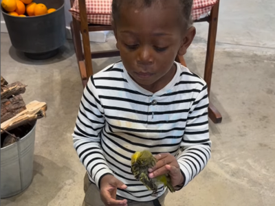 Young boys surprise Mom by bringing home a dead bird