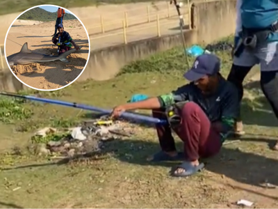 Meet Jaydin, the young boy who reeled in a 116kg shark