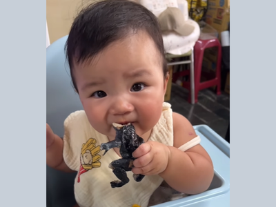Asian mom amused as her baby eats bullfrog soup