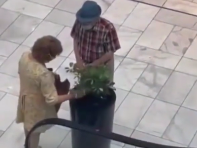 Elderly couple steal plant from shopping mall