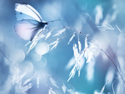 Jacaranda FM - More Music You Love