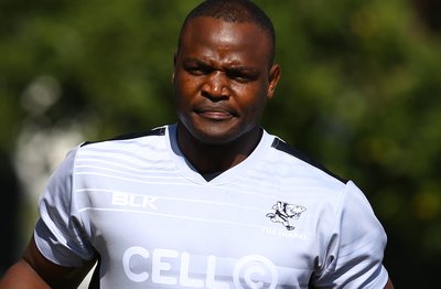 Chiliboy starts for Sharks