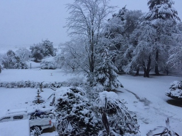 ICYMI: Possible snowfall in Mpumalanga -SAWS