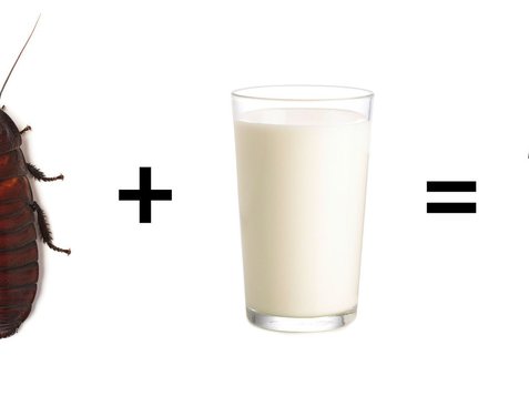 Jacaranda FM - More Music You Love