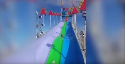 This dog just loves slides