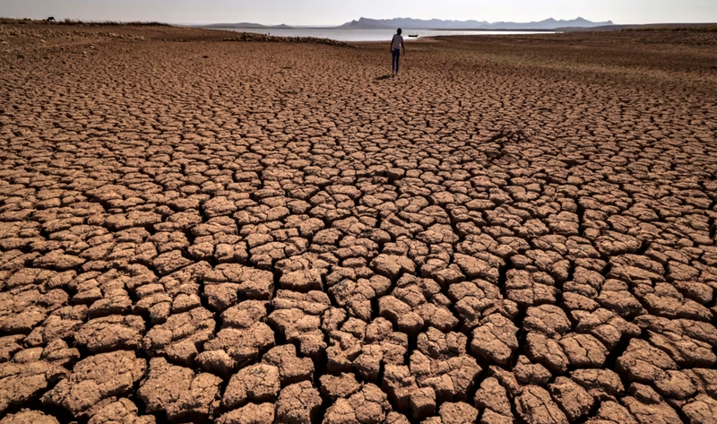 Zimbabwe declares El Nino drought a national disaster