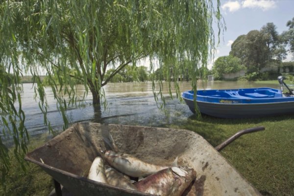 Man found pushing girlfriend's body in wheelbarrow