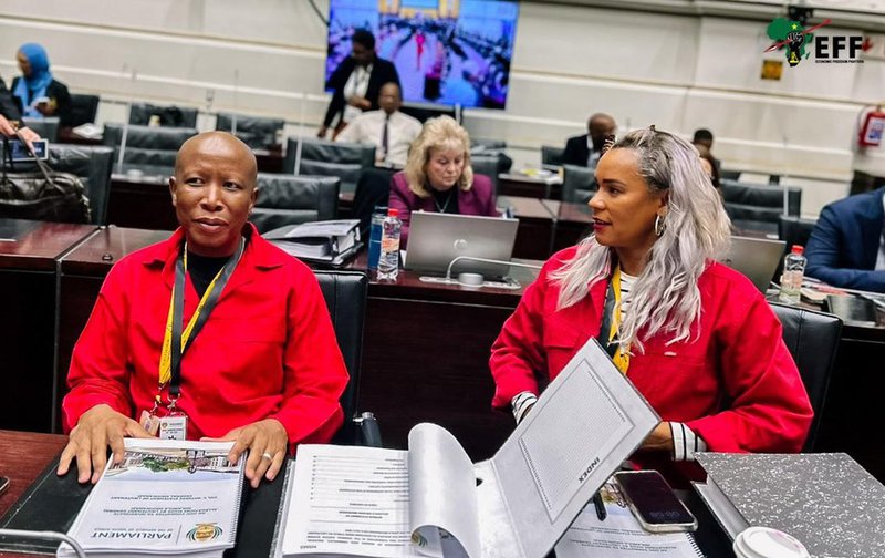 Ad hoc committee investigating police capture stalls over Mkhwanazi ...