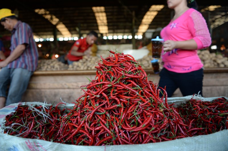 Chilli-loaded slingshots new weapon in India