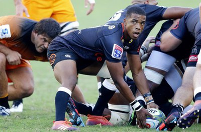 Grant Williams called up to Springbok squad