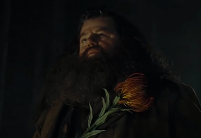 Harry Potter's Hagrid, Robbie Coltrane, dies aged 72