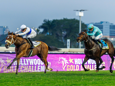 Hollywoodbets Gold Challenge set to thrill at Greyville this weekend