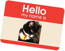 Cats with clause and pause…