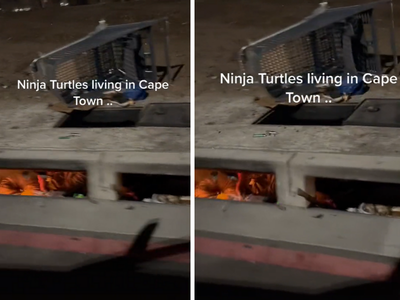 WATCH: TikToker labelled 'heartless' by comparing homeless to Ninja Turtles