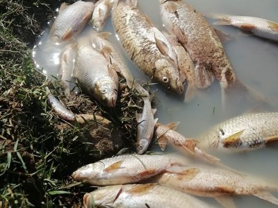 'The water is safe', says Umgeni Water spokesperson Shami Harichunder