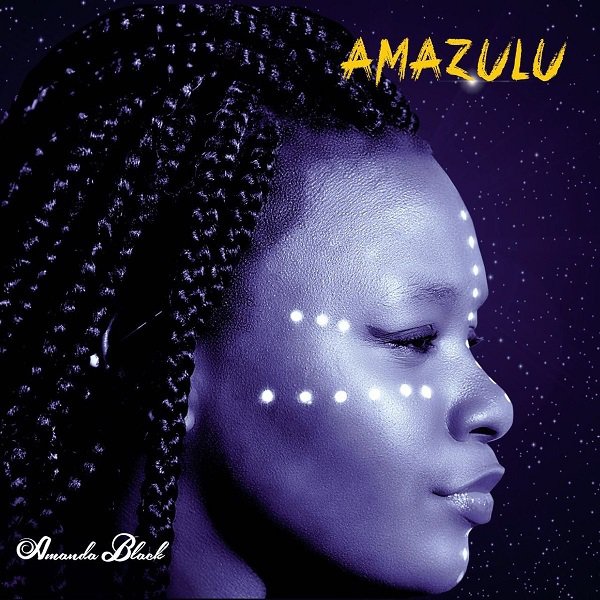 2016: The top South African albums that defined us