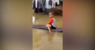 Shocking video shows toddler riding massive python