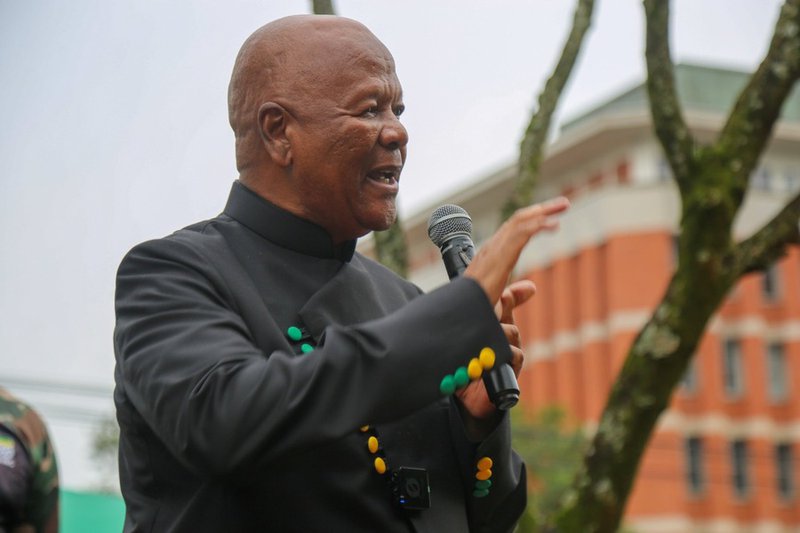 Apartheid regime feared Luthuli’s influence, says Radebe