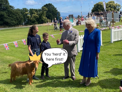 His Royal Goatness! King Charles bestows royal title on a goat