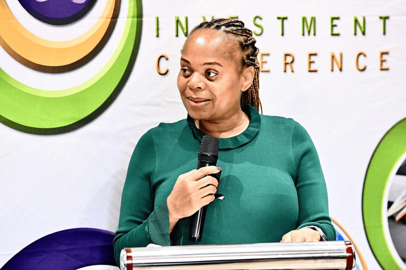 Ramathuba says Limpopo investment conference ‘hit rate’ at 24%