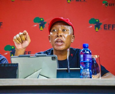 Final arguments due in Malema's firearm case
