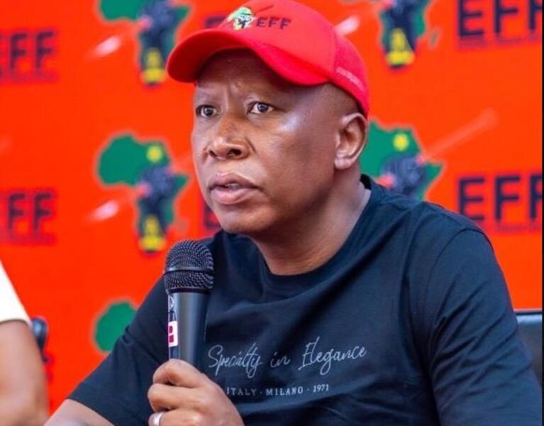 IEC rejects Julius Malema’s claims of 2024 election irregularities
