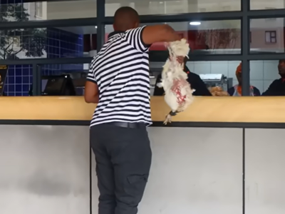 WATCH: JHB content creator returns a live chicken to KFC