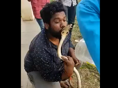 WATCH: This cobra wasn't having any kisssssing after this man tried to ...