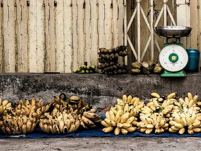 Local entrepreneur uses smart model to help low income households ...