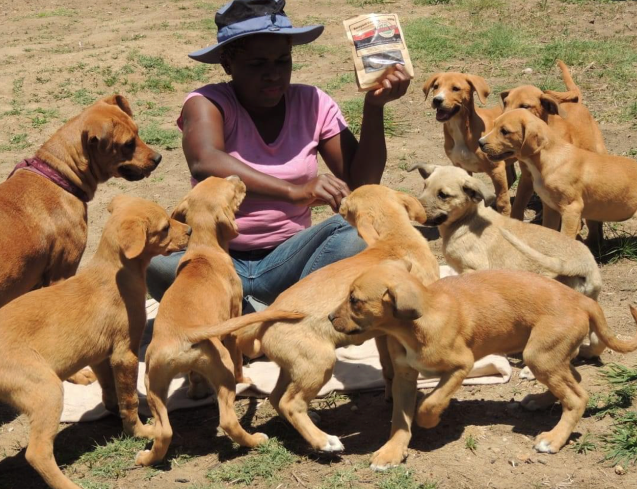 Woman who assists animals in underprivileged areas in need of help
