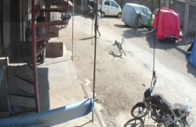 Man gets DROP KICKED by monkey