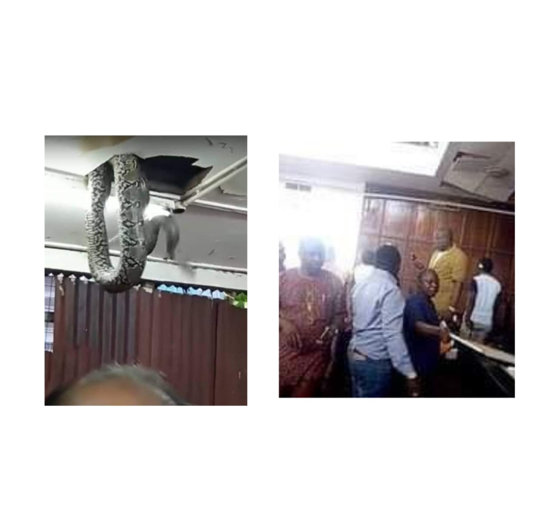 Snake chases lawmakers from Nigerian state parliament