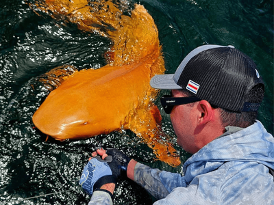 Fisherman reels in first-ever bright orange shark